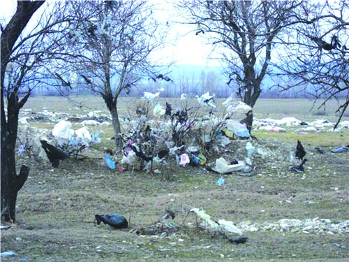 პოლიეთილენი - საუკუნის ნაგავი - კვირის პალიტრა