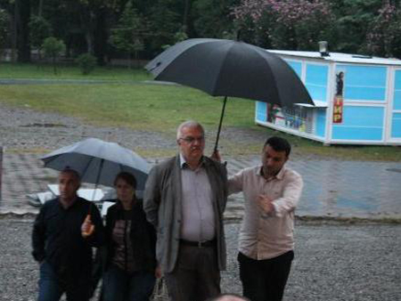 წლის ფრაზები - კვირის პალიტრა