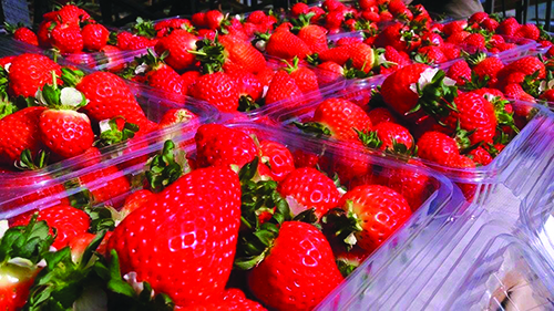 კოოპერატივების დახმარებაში "საშიში" არაფერია - კვირის პალიტრა