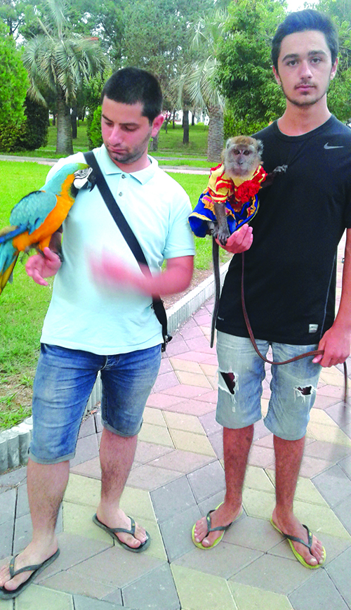 ძროხა საპირფარეშოში, ევა, ბორია და "ჯერკალ ესტ?" - ქართული ტურიზმის ...