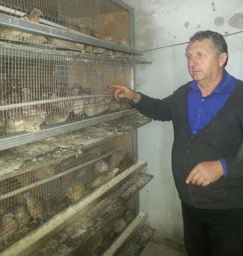 სიძესიმამრიანი, ანუ ქორწილში დაბადებული მწყრის ფერმის იდეა... - კვირის ...