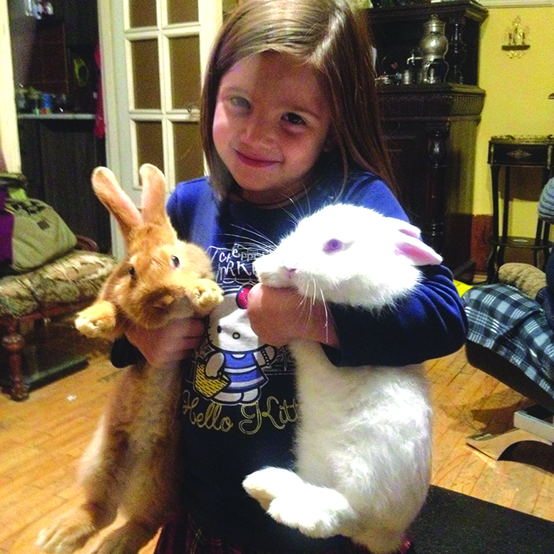 "როცა ბოცვერს რამე აწუხებს, ფეხებს აბაკუნებს" - კვირის პალიტრა