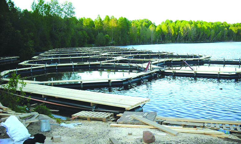"დასტრესილი" კალმახი უგემურია" - კვირის პალიტრა