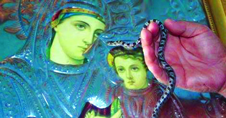 "გველის ღვთისმშობელი" - კვირის პალიტრა