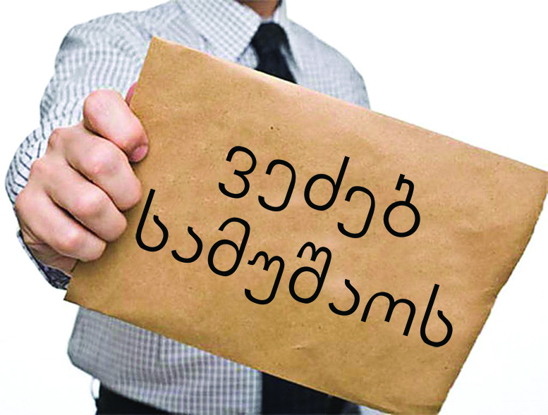 4 სამუშაო ადგილი საქართველოში, სადაც მარტივად დასაქმებისა და სწრაფი ...