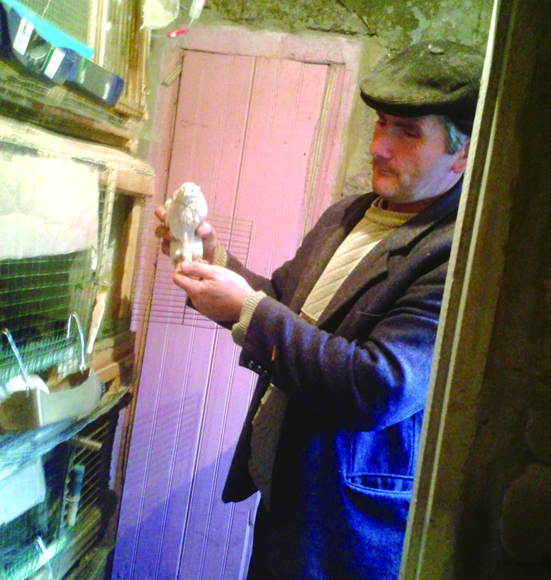 "ფარაონის" ჩოჩრები - კვირის პალიტრა