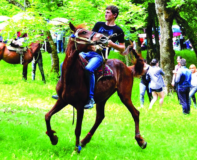 კალობნის მხედრები... - კვირის პალიტრა