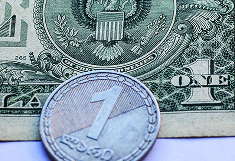 ვინ ითბობს ხელს ლარის გაუფასურებით?! - კვირის პალიტრა