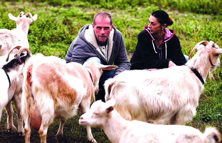 12 ყველი სოფოს და ლეოს სამზარეულოს წესებით - კვირის პალიტრა