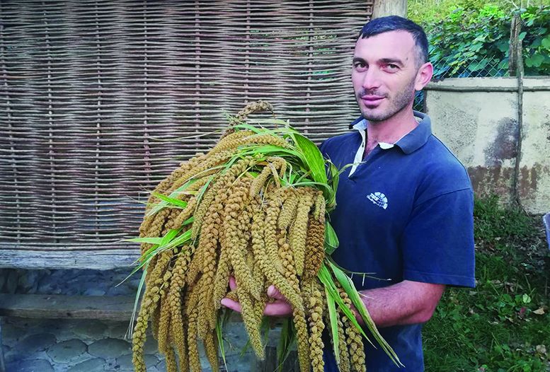 ღომის ღომი - მეგრული სუფრის "ჯგირ-კერძი" - კვირის პალიტრა