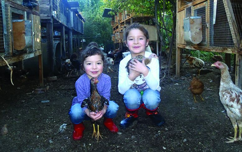 მწყრის ფერმა დედოფლისწყაროში - კვირის პალიტრა