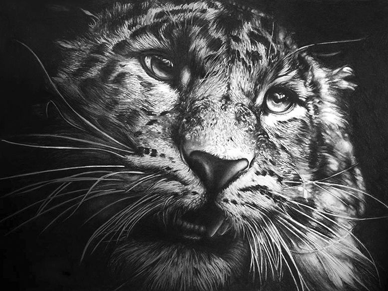 "ექსტრაორდინარული ­ მხატვარი" - ქართველი გრაფიკოსი მსოფლიომ აღიარა ...