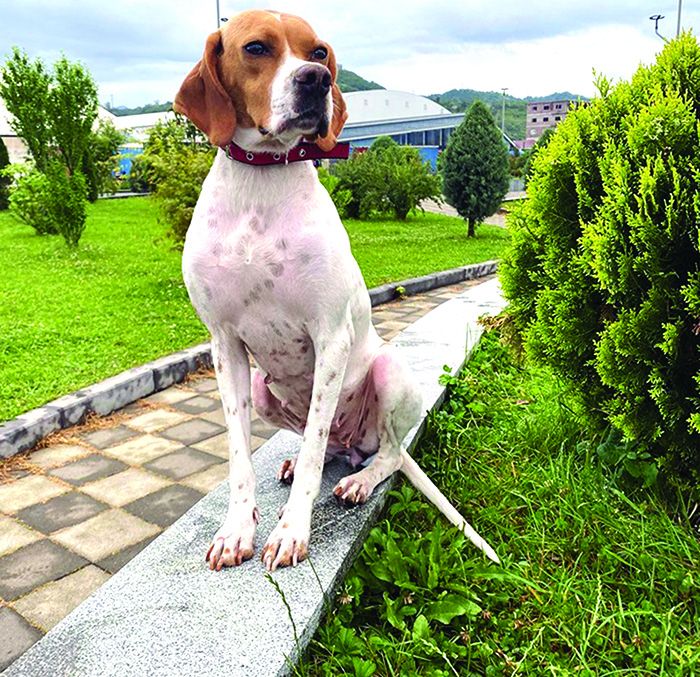 როცა ერიკი შეხვდა ჩერის... - კვირის პალიტრა