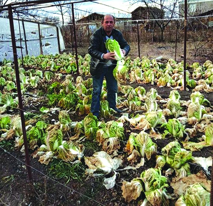 "პეკინური ეგზოტიკა" მარადისში - კვირის პალიტრა