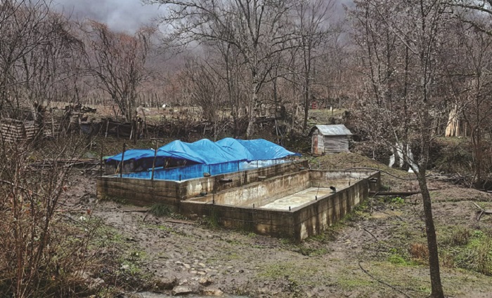 "თევზი გვაქვს, მაგრამ გზა არ არის, რომ გასაყიდად ჩავიტანოთ" - კვირის ...