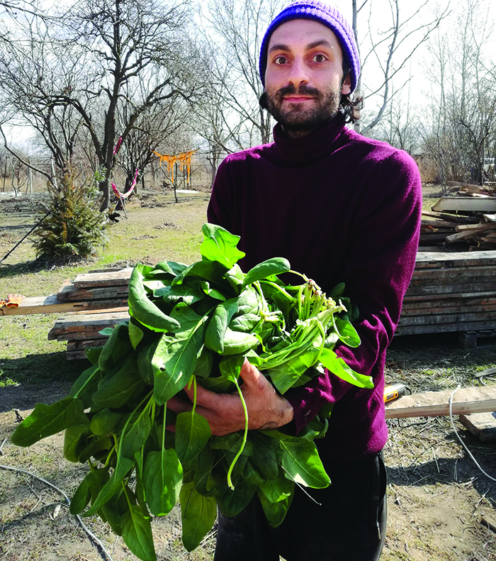 "ქალაქს გამოქცეული" კაცის ამბავი - კვირის პალიტრა