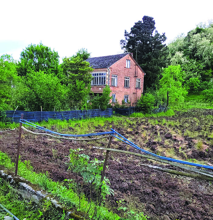 "მიკვირს, ქალაქში როგორ გააქვთ თავი... ვხუმრობ ხოლმე, სხვა თუ არაფერი ...