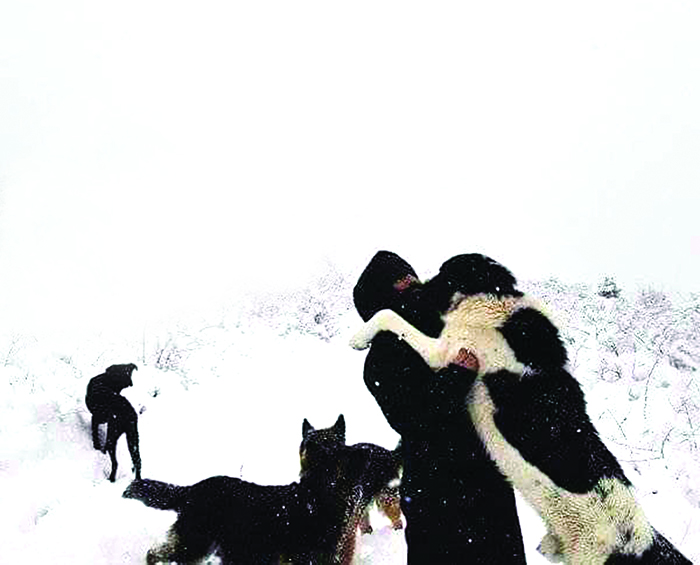 "ზოგს მანქანა ეჯახება, ზოგს ადამიანები ერჩიან..." - ვინ არის ბერი ...